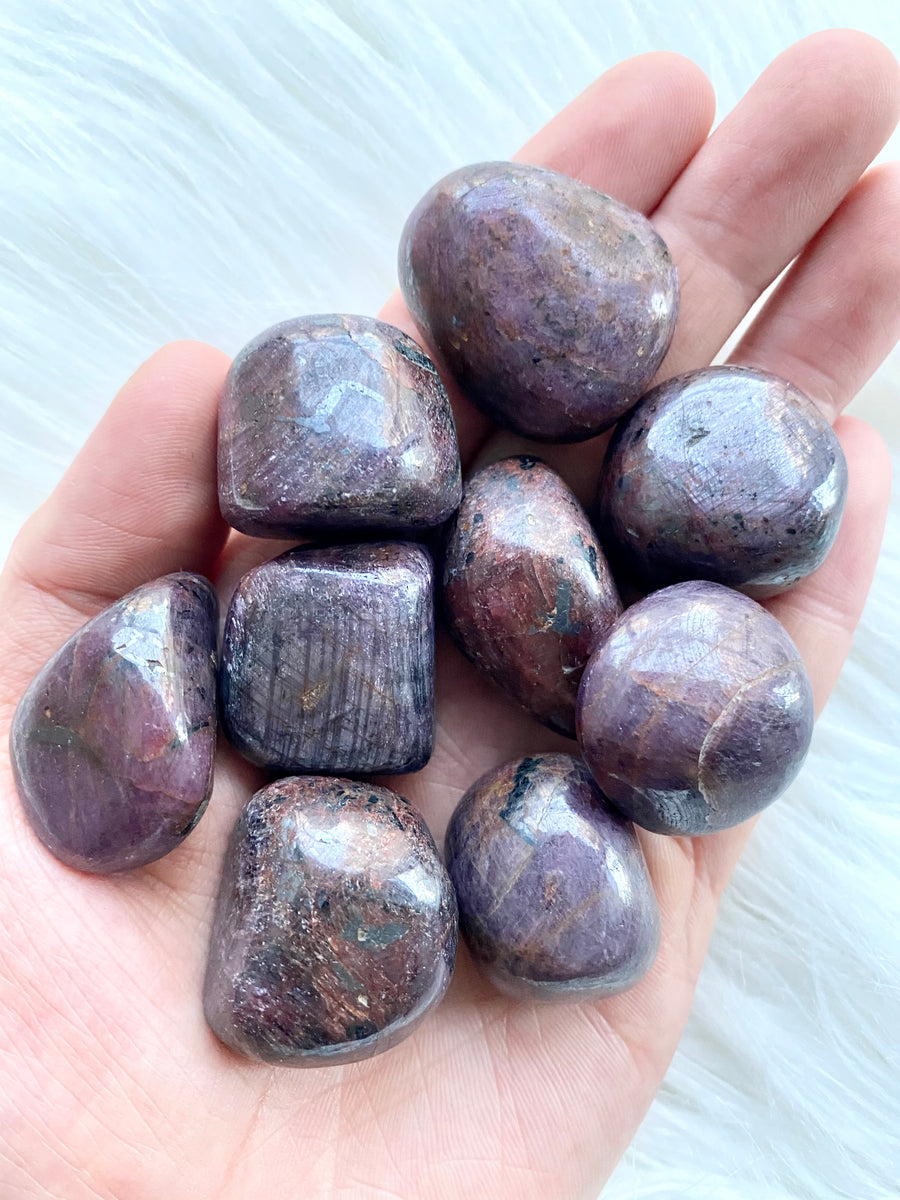 Ruby Tumbled – GURU CRYSTALS